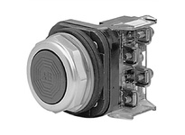 Allen Bradley 800T-A2D1 Pushbutton - MROSupply.com