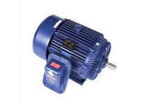 U079A Model#: 326TSTGS16532 HP: 50 RPM: 1800 Frame: 326TS Enclosure ...