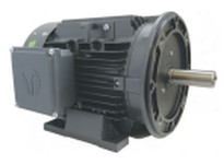 Techtop GX3-AL-TF-182TC-4-B-D-3 Three Phase Aluminum General Purpose Motor - MROSupply.com