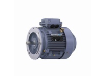 Marathon R224 TCA0041AE221GAA009 4KW-5.5HP 3600 TEFC 112M 3/60/230/460 ...