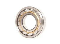 Consolidated Bearings RLS-14-L CYLINDRICAL ROLLER BEARING INCH ...